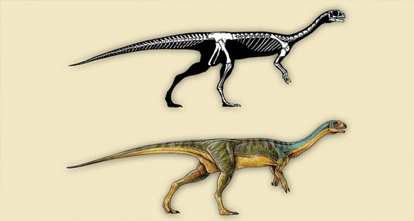 A Jurassic dinosaur â€˜Frankensteinâ€™ discovered in the Andes is ...