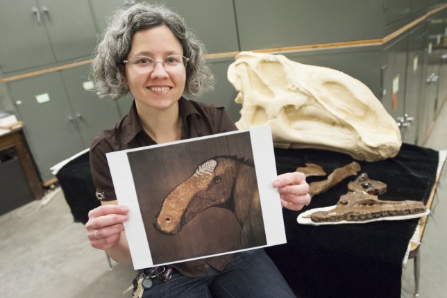 Discovery of new dinosaur species reveals evolutionary link - The ...