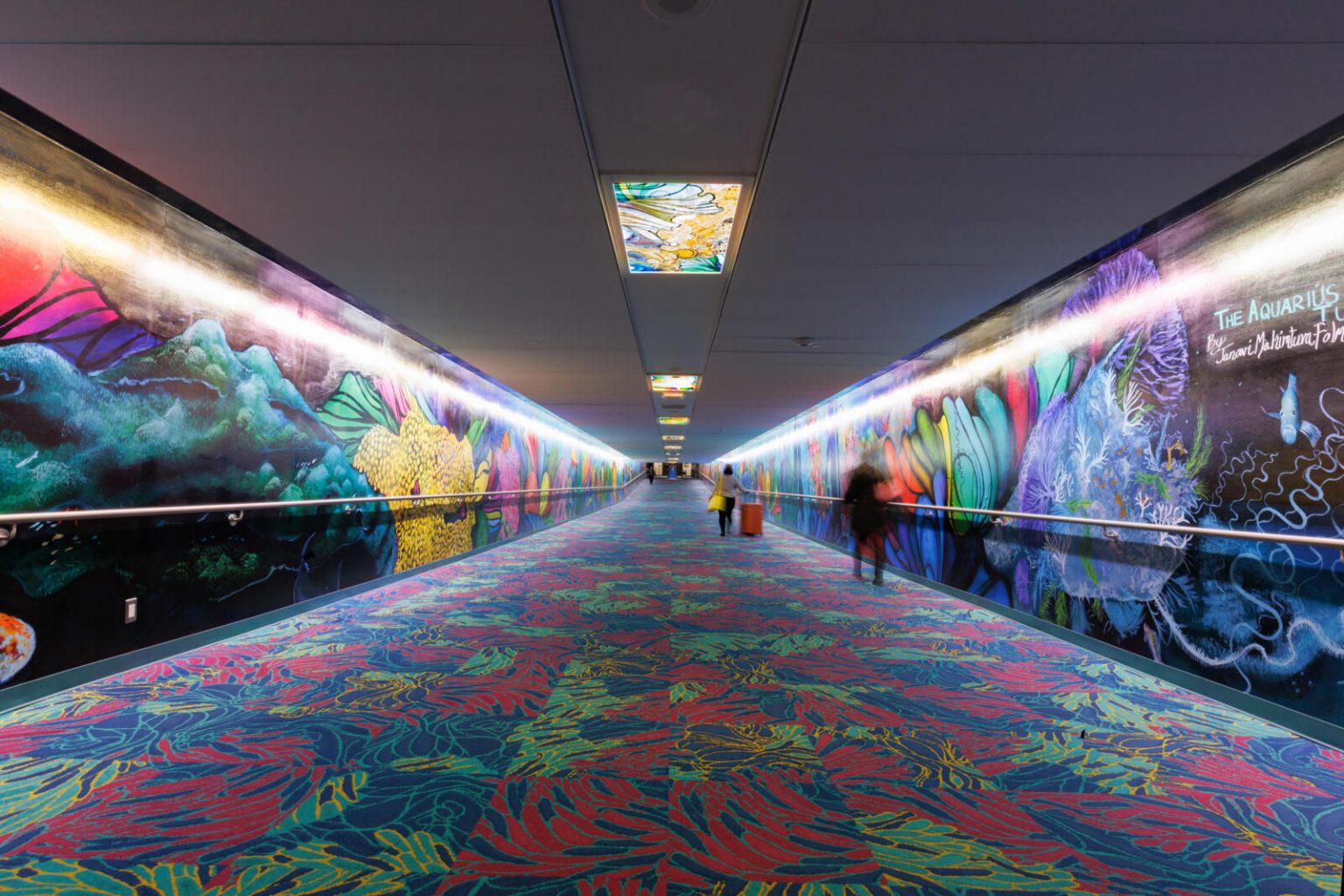 Indian American artist behind Americaâ€™s first art tunnel